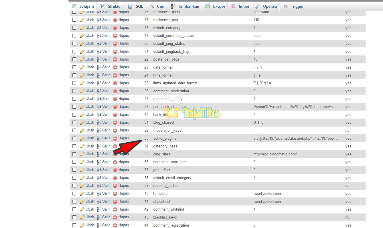 Cara Disable Plugin Wordpress Via PHPMyAdmin – RajaMitra Hosting Cara Disable Plugin Wordpress Via PHPMyAdmin – RajaMitra Hosting