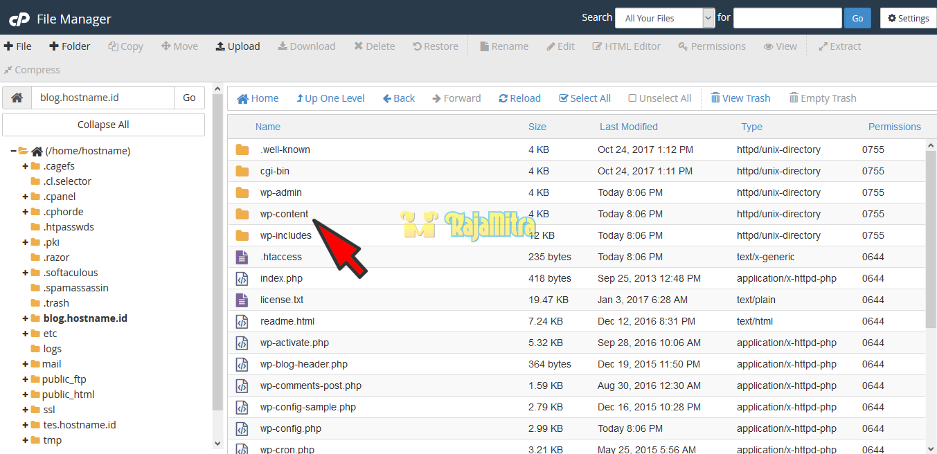 Cara Disable Plugin Wordpress Via File Manager Cpanel Rajamitra Hosting