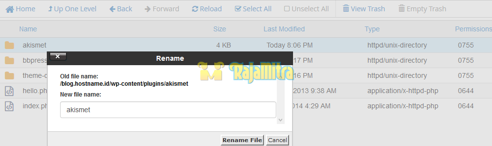 Cara Disable Plugin Wordpress Via File Manager Cpanel Rajamitra Hosting